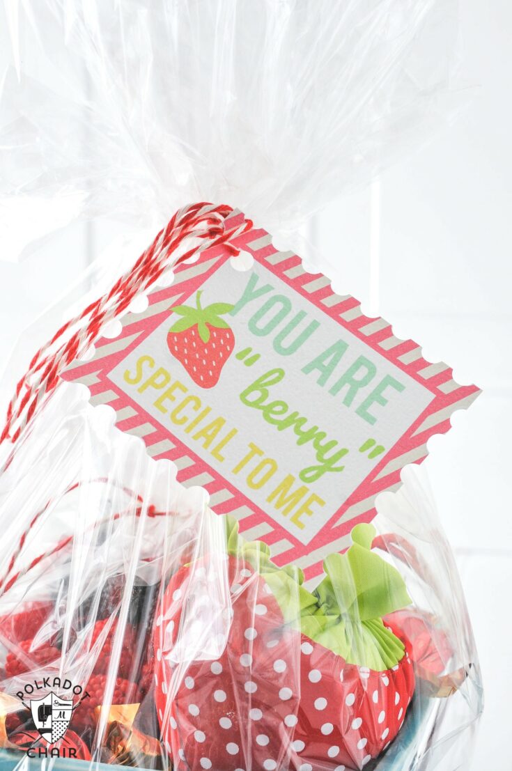 Strawberry Gift Basket Ideas, the Polka Dot Chair