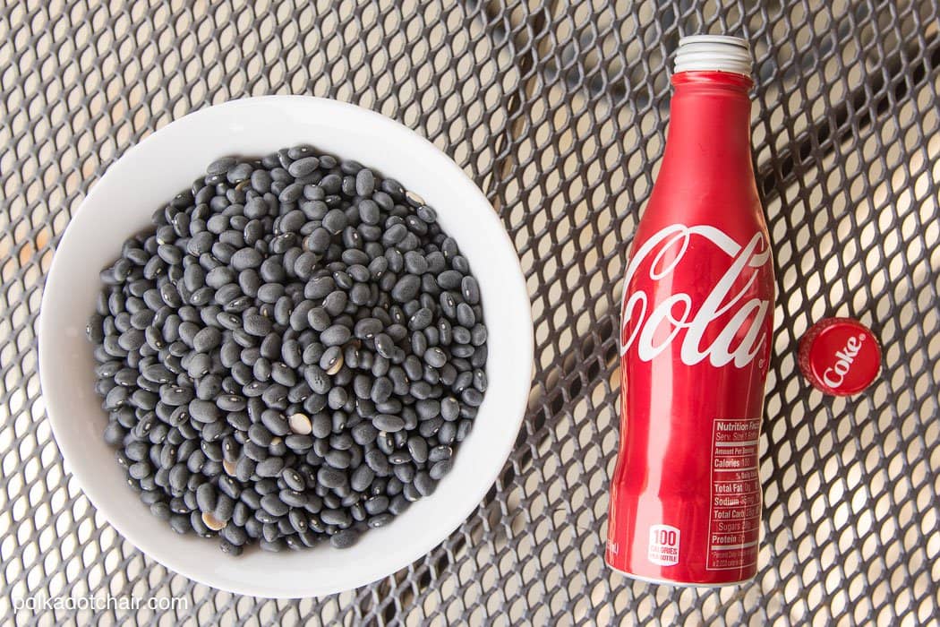 DIY Coke® Bottle Outdoor Bowling Game | Polka Dot Chair