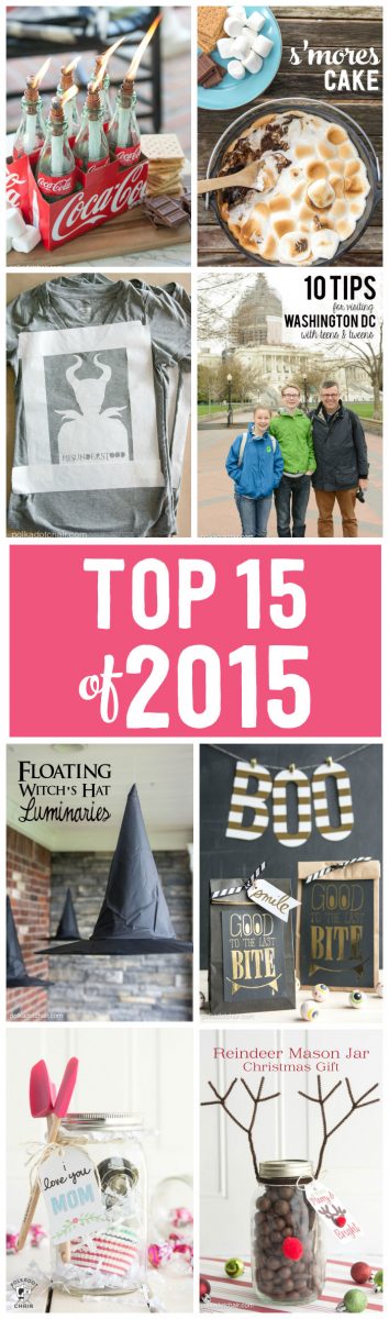 15 Best Craft and DIY Projects of 2015 - The Polka Dot Chair