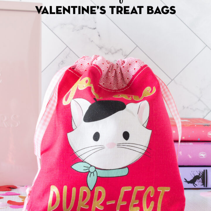Fabric Valentine's Day Treat Bag Tutorial - The Polka Dot Chair